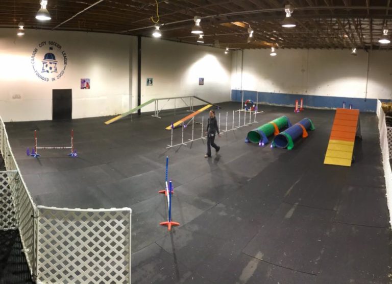 First Agility Run-Thru Course! – Dog Sports America
